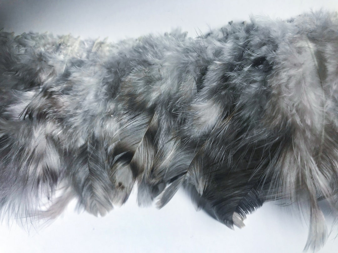 Natural Grey and Cream/white Feather Strip, Wholesale Feathers - Etsy