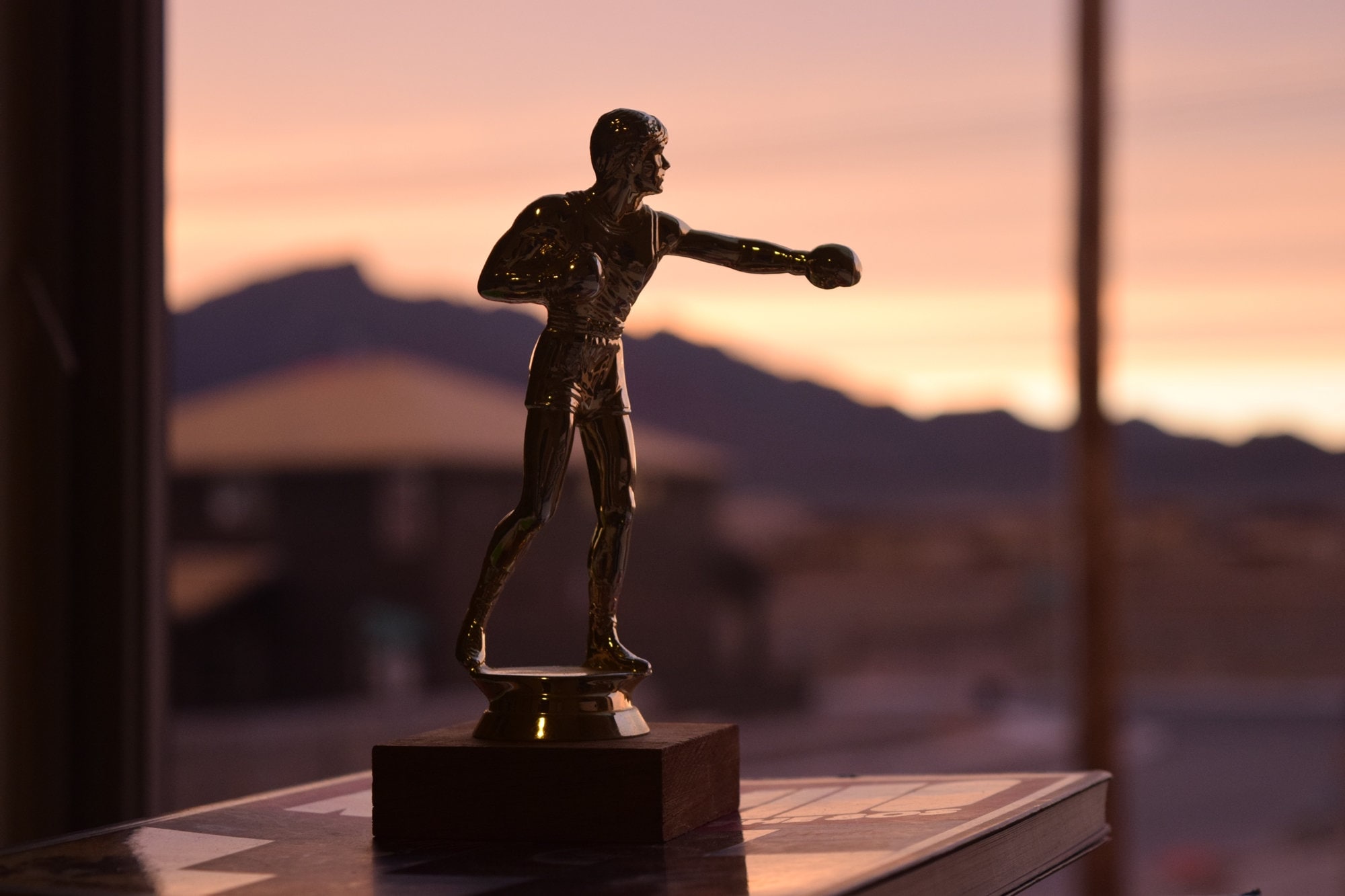 TROFEO DE BOXEO / en Base caoba / por Nathan's Gym - Etsy España