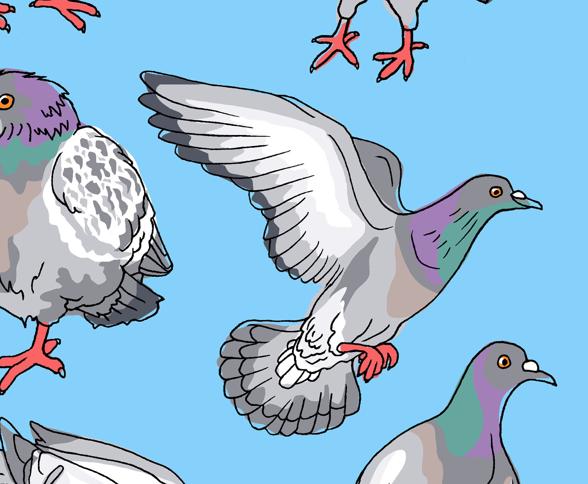 Birds Pigeons Humorous Art Print, Signed Artist Edition - Etsy