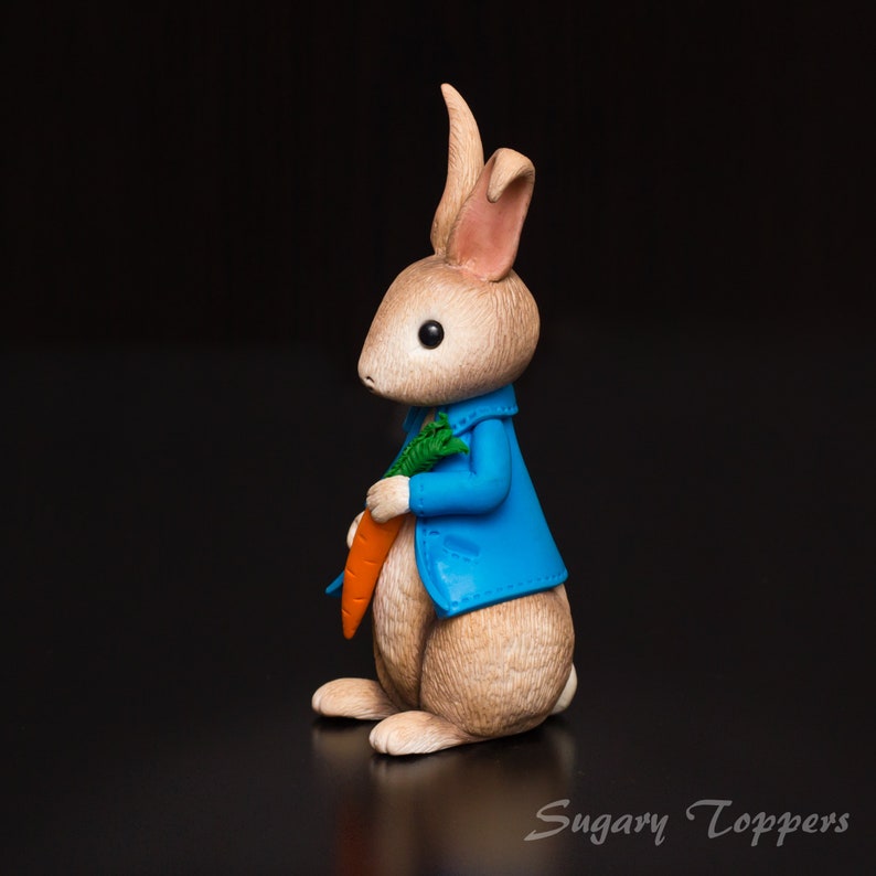 Peter Rabbit Cake Topper for Cake Decorating Made From - Etsy