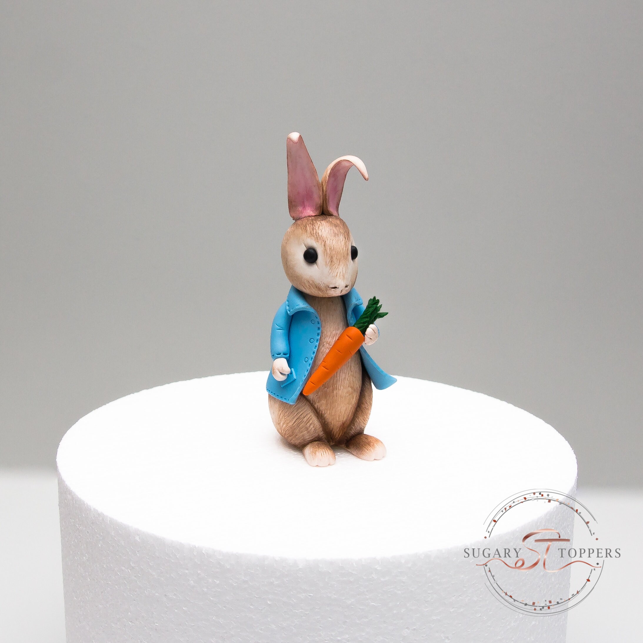 Peter Rabbit Cake Topper for Cake Decorating Made From - Etsy