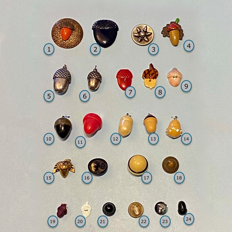 Acorn Button - Etsy