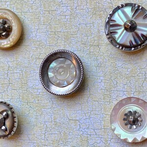 Lovely Collector's Card of 11 Carved Pearl & Steel NBS Small Buttons ...