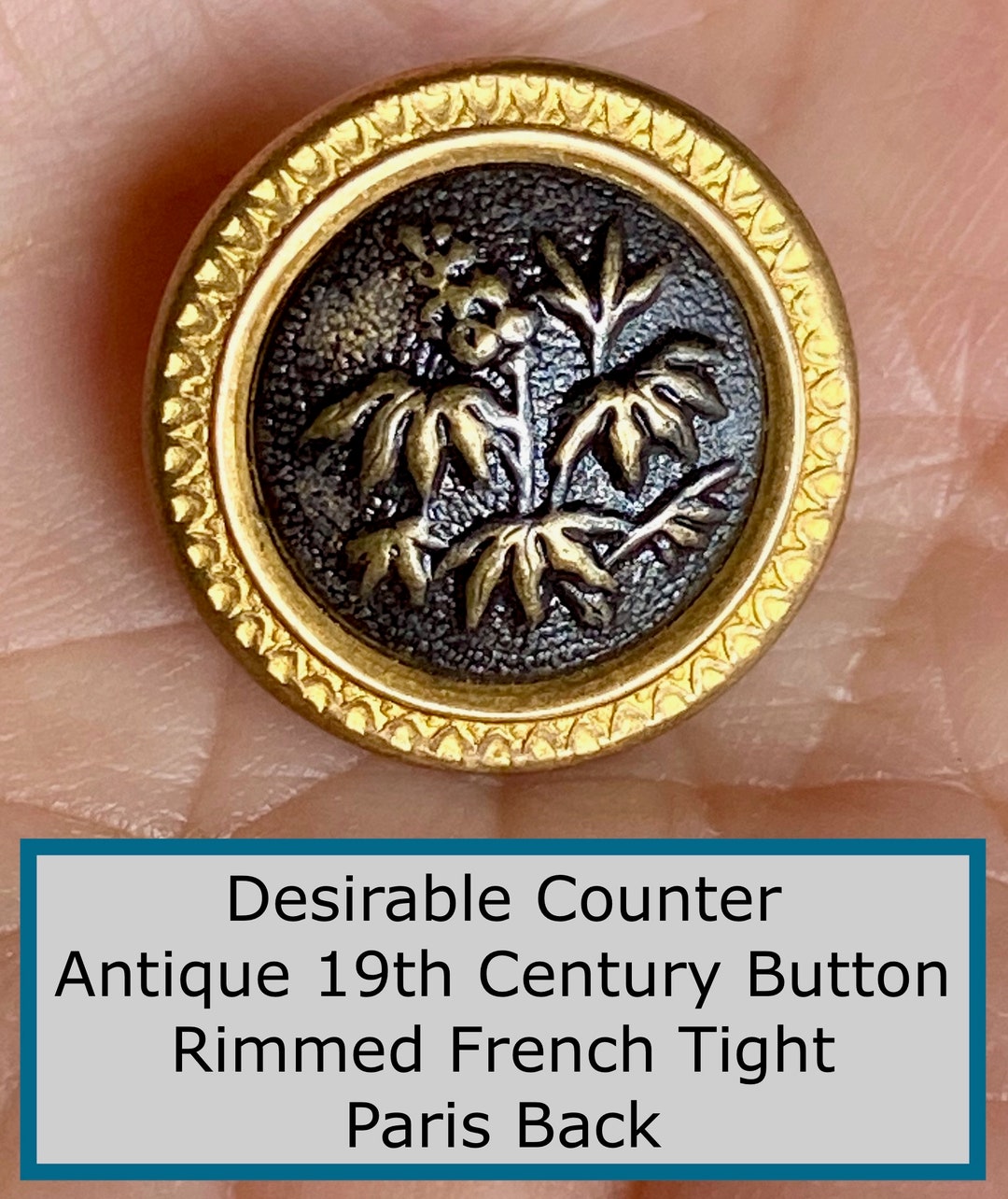 Desirable Counter 19th Century Rimmed French Tight Paris Back Button ...