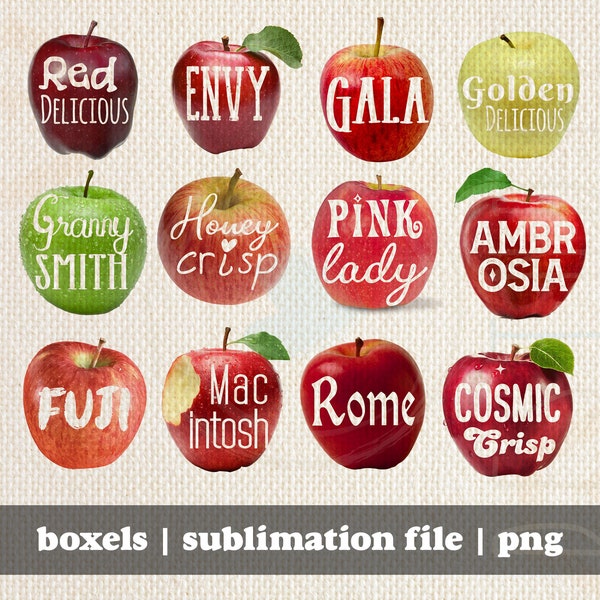 Apple Varieties - Etsy