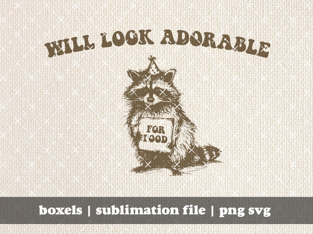 Will Look Adorable for Food Raccoon Mediocre Funny Sarcastic Racoon ...