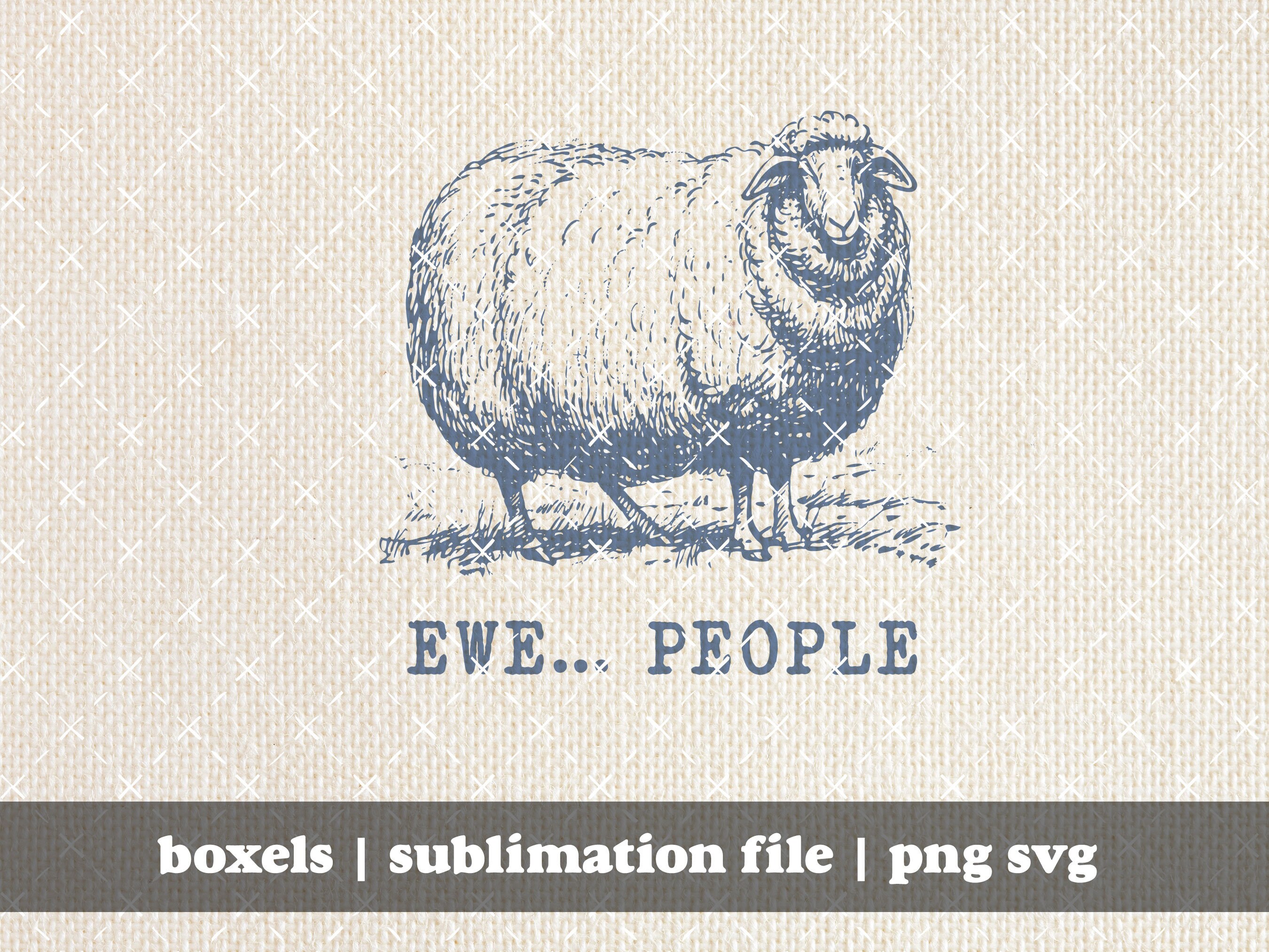 EWE People Funny Adorable Fat Sheep Funny Cute Lambs Hand Drawn Graphic ...