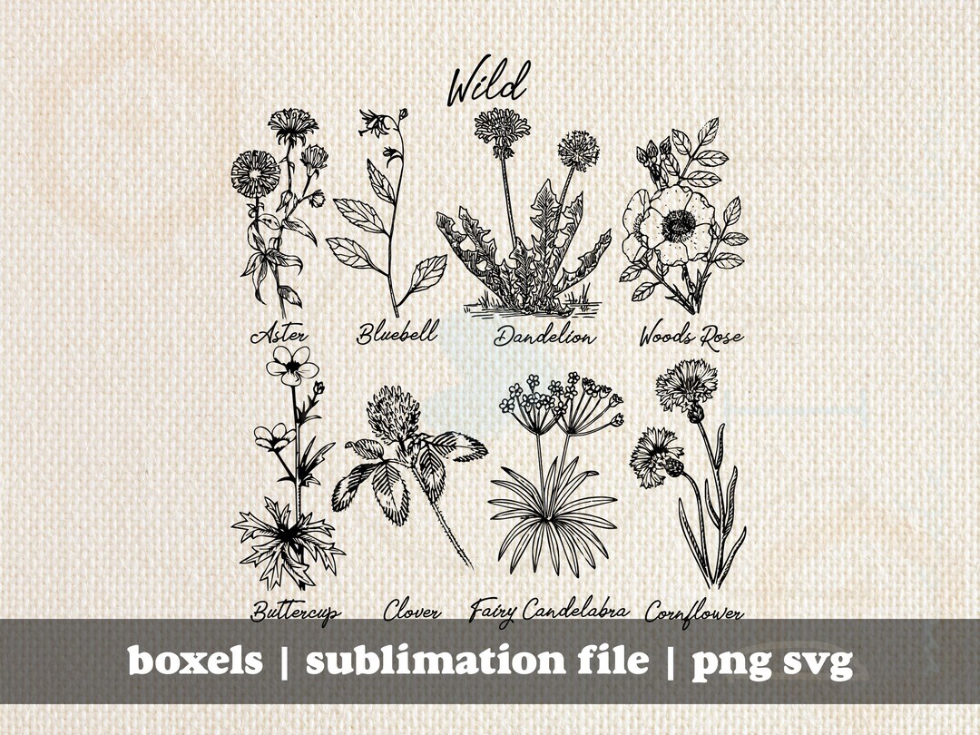 Wild Wildflowers Species With Names Simple Line Art Instant Download ...