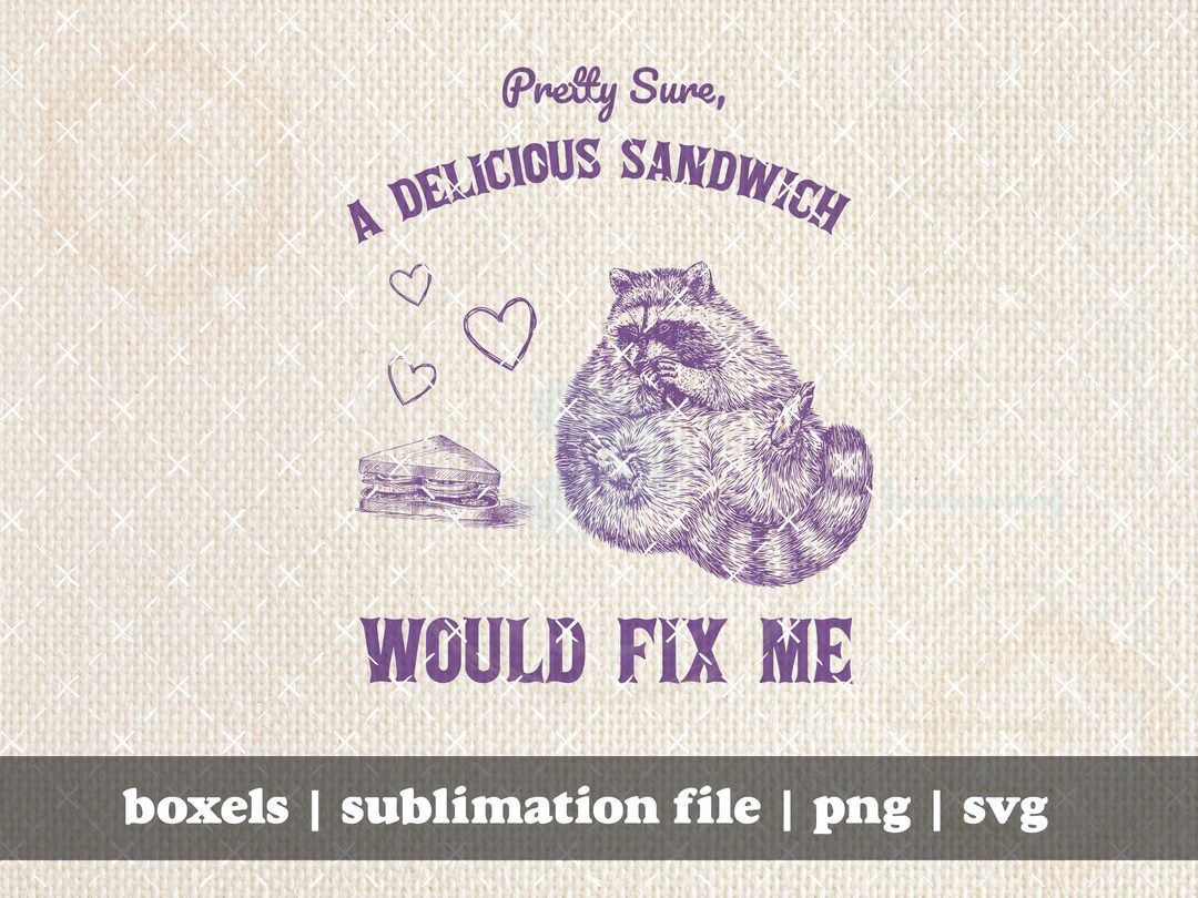 Pretty Sure A Delicious Sandwich Would Fix Me Weird Sarcastic Racoon ...