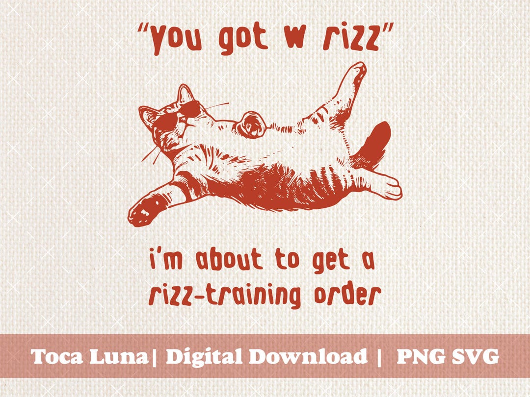 You Got W Rizz Meme About to Get A Rizztraining Order Funny Sarcastic ...