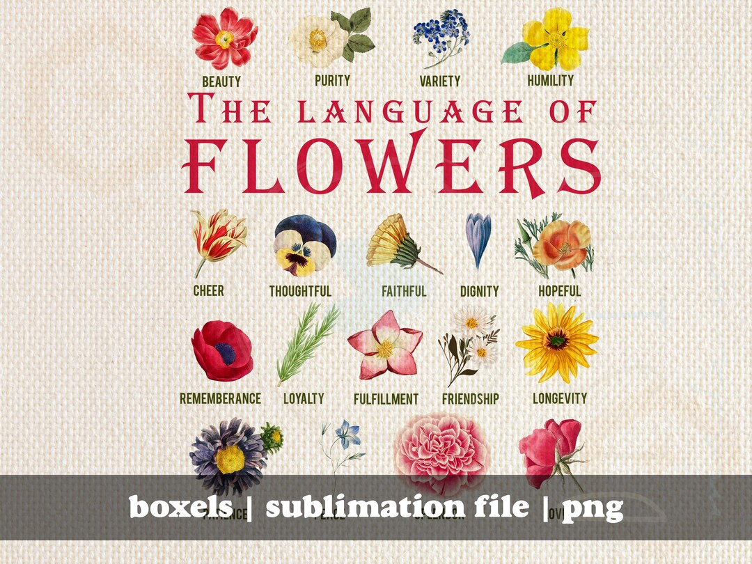 Language of Flowers Collage of Vintage Flowers With Text | Instant ...