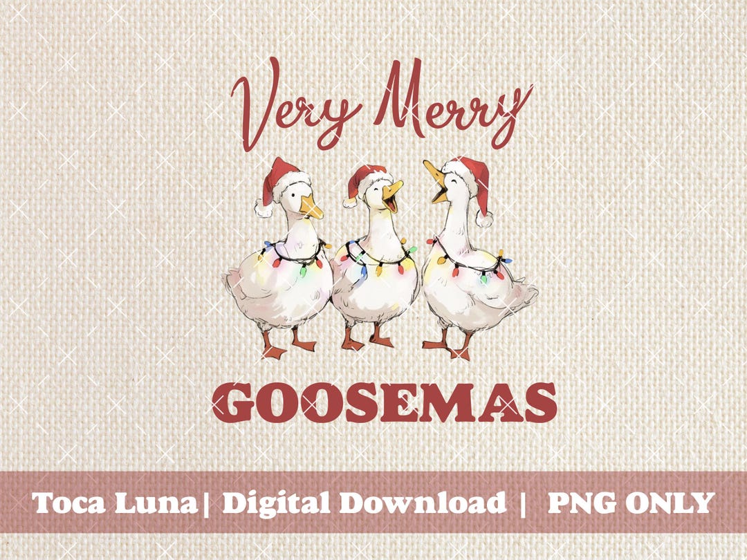 Very Merry Goosemas Silly Goose Christmas 3 Geese With Christmas Lights ...