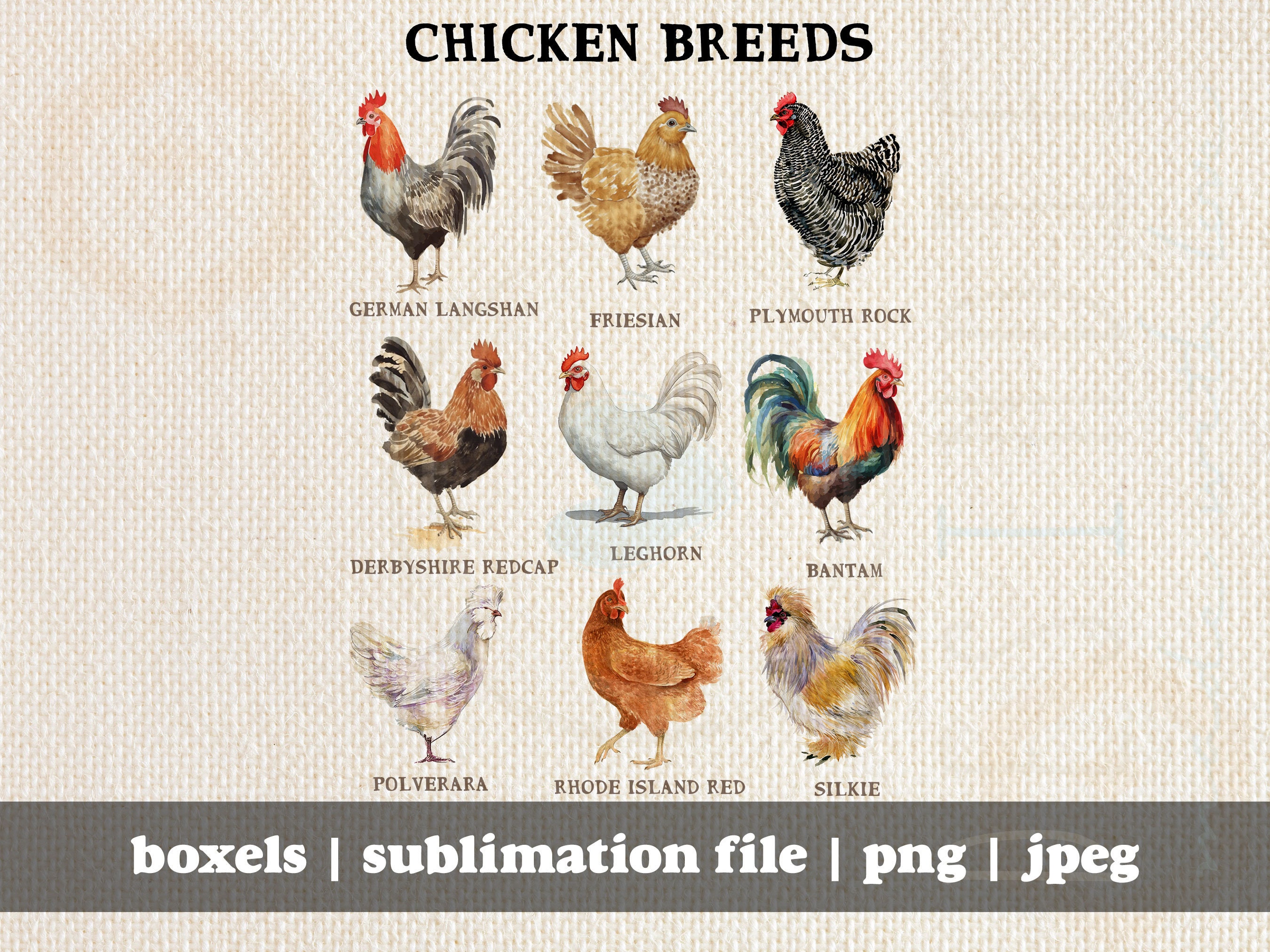 Rooster Breeds Names