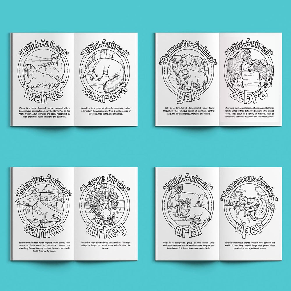 Animals Coloring Pages 26 Printable Coloring Pages A to Z - Etsy