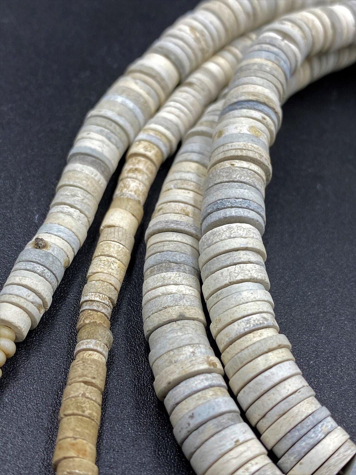 Old Antique Ancient Himalayan Sea Shell Beads - Etsy