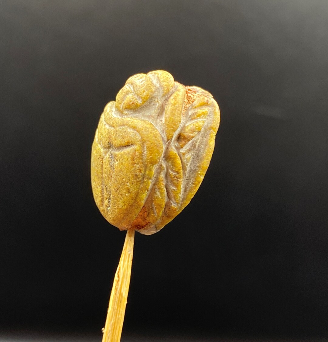 Egyptian Scarab Stamp Seal Bead Amulet Engraved Carved Jasper Agate ...