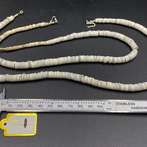 Old Antique Ancient Himalayan Sea Shell Beads - Etsy