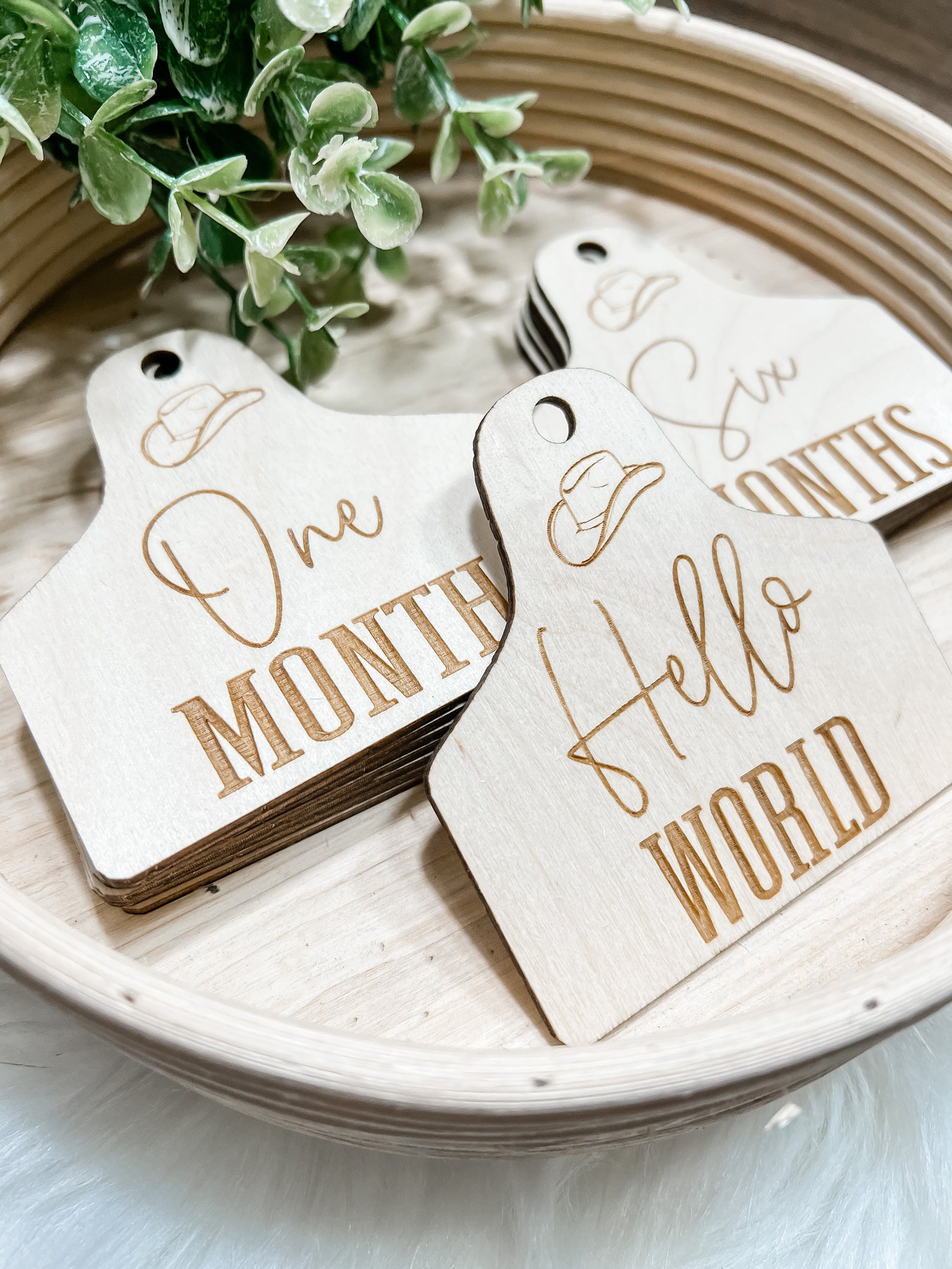 Cowboy Baby Milestone Set - Etsy