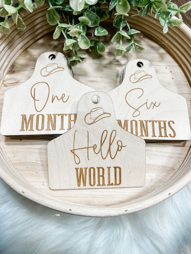 Cowboy Baby Milestone Set - Etsy