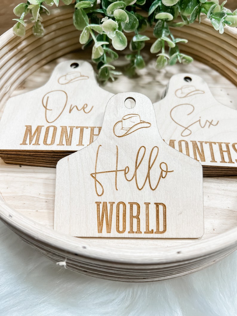 Cowboy Baby Milestone Set - Etsy