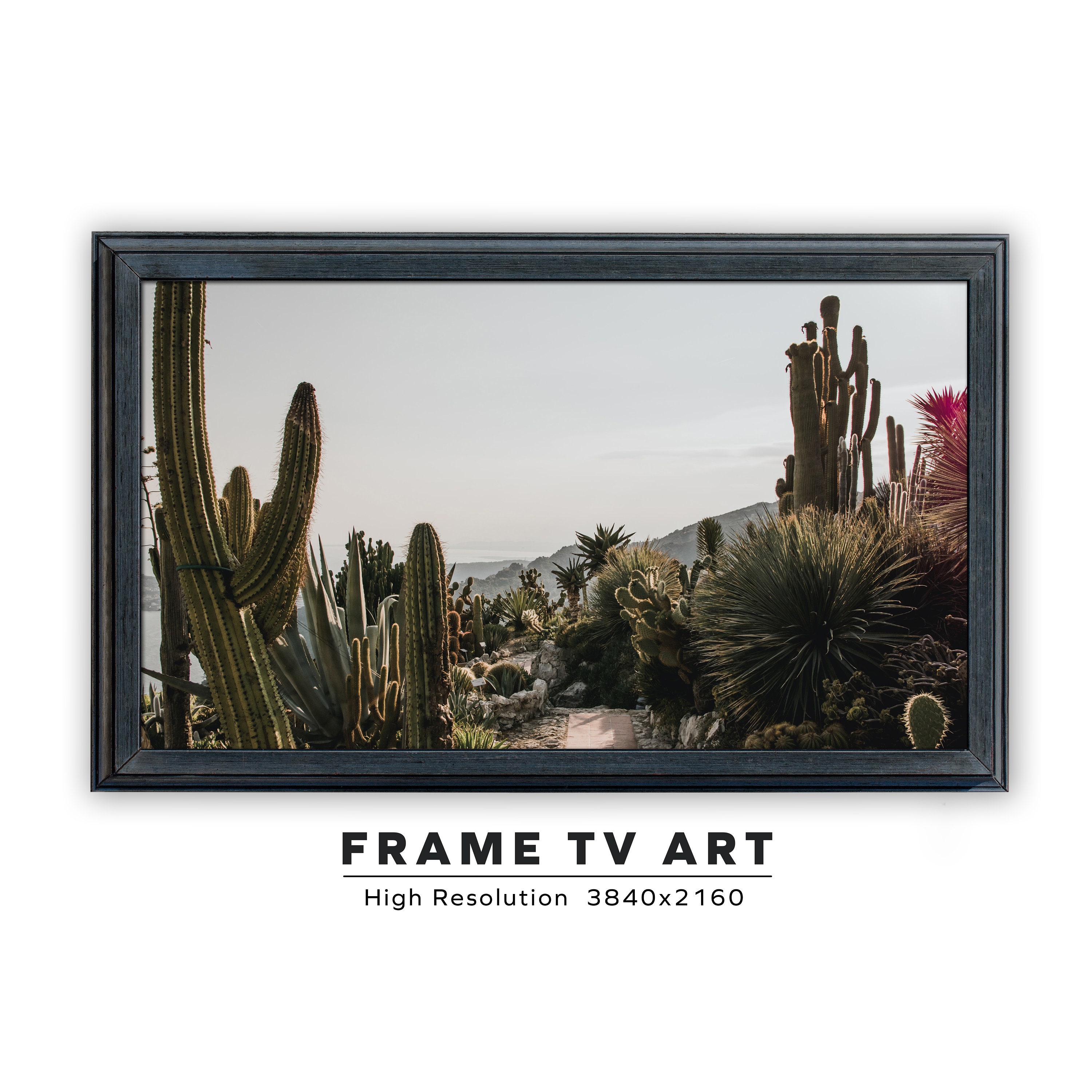 Samsung Tv Print Ad