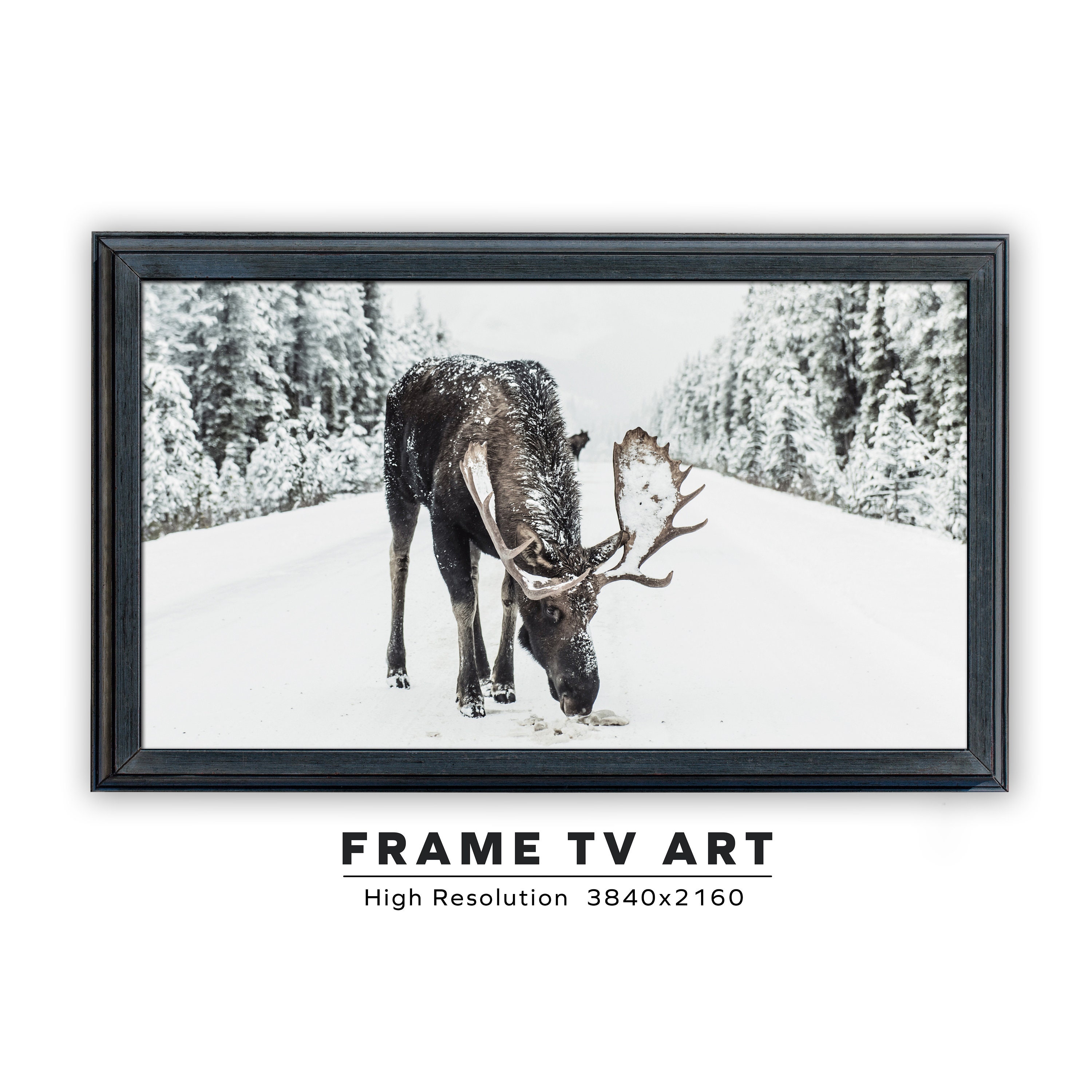 Samsung Digital Photo Frame