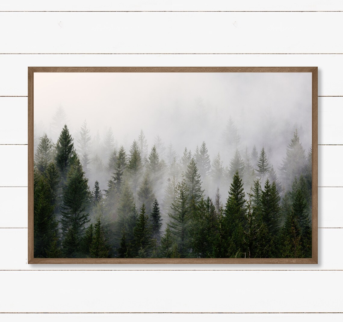 Art Print. Photography. Evergreen Trees. Instant Download Printable Art ...