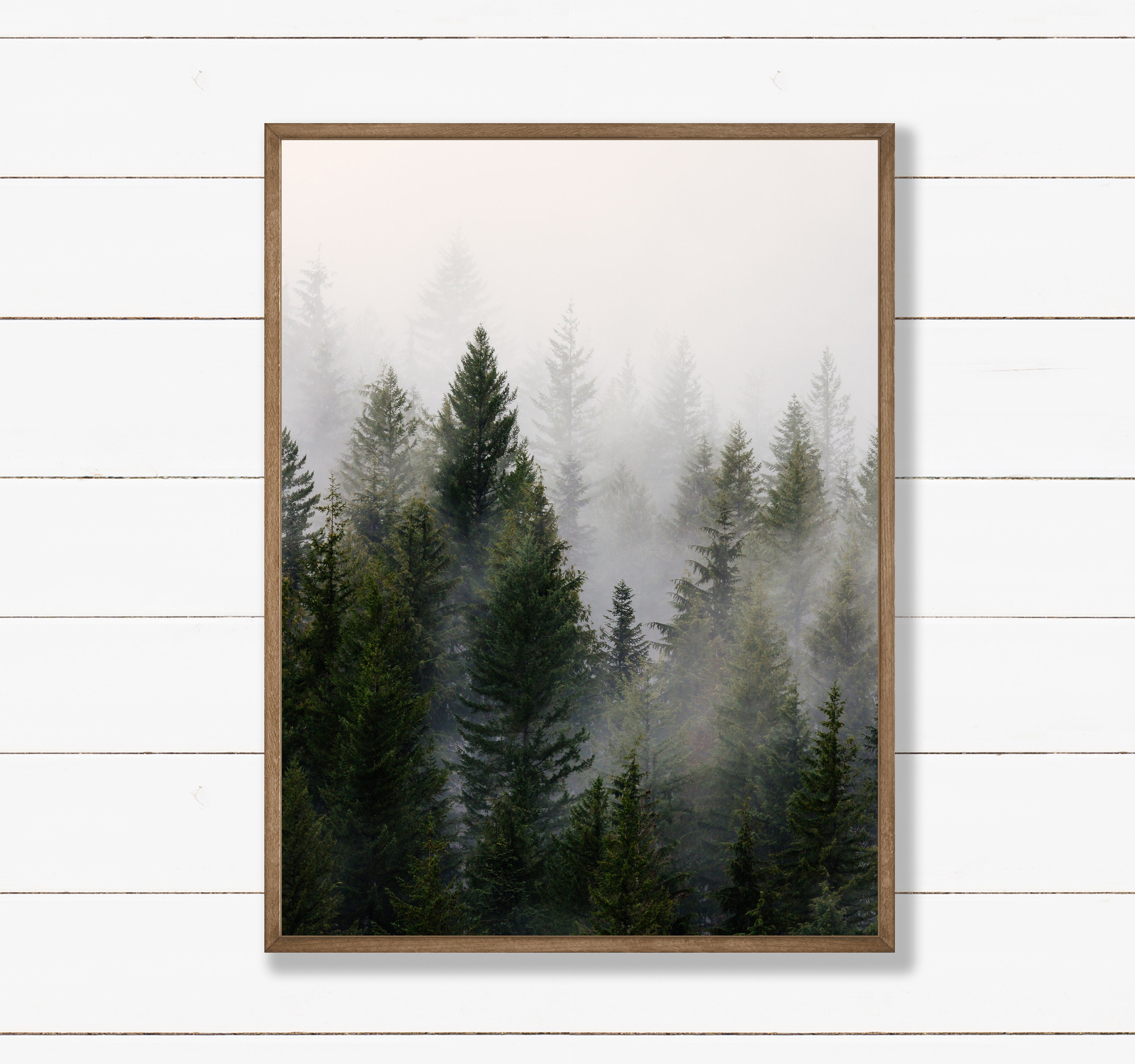 Evergreen Trees. Instant Download Printable Art. Photography. - Etsy