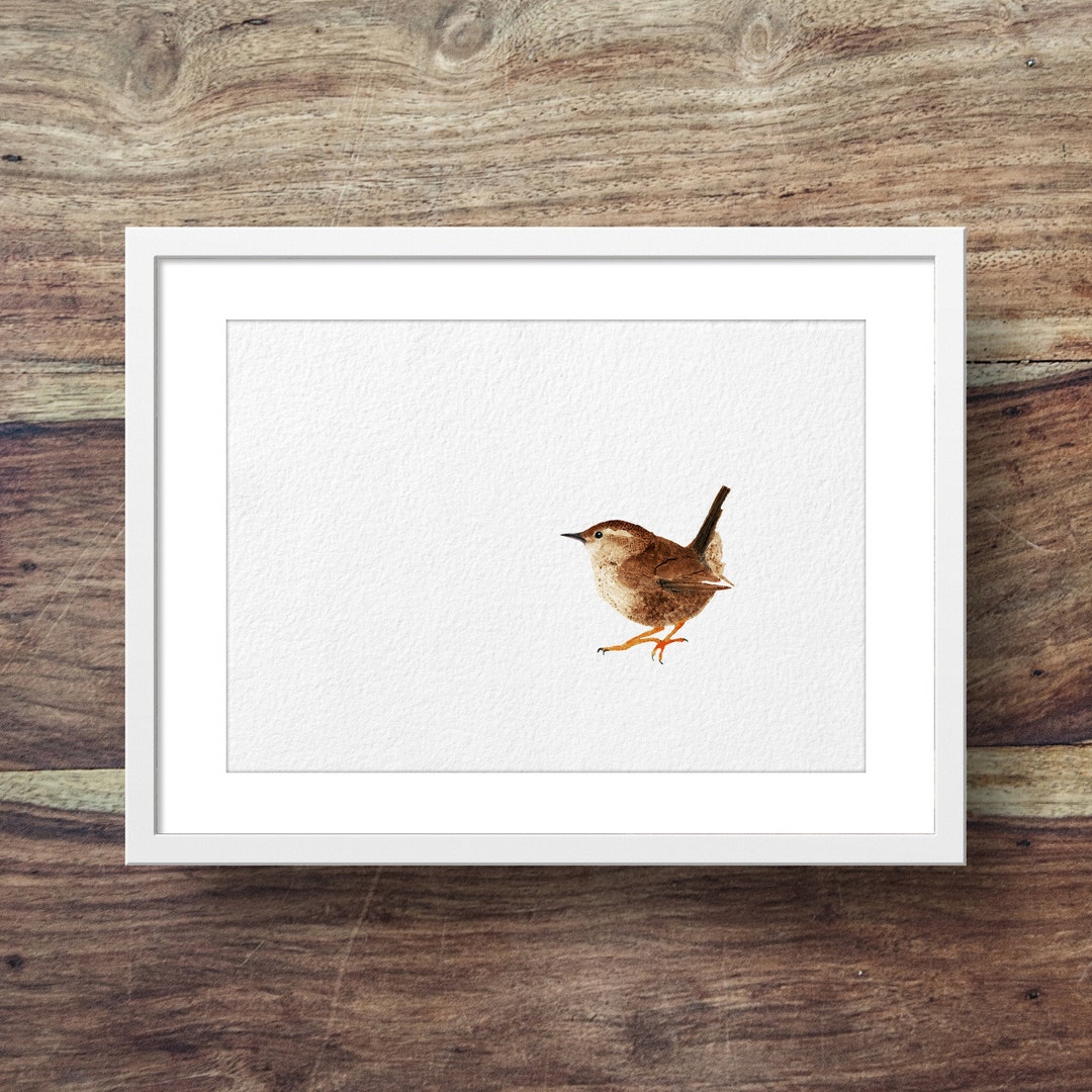 Wren - Etsy