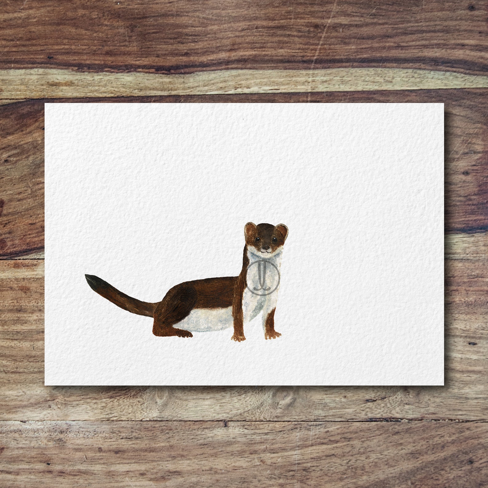 Stoat stoat Art Woodland Animals Cute Animal Art - Etsy Denmark