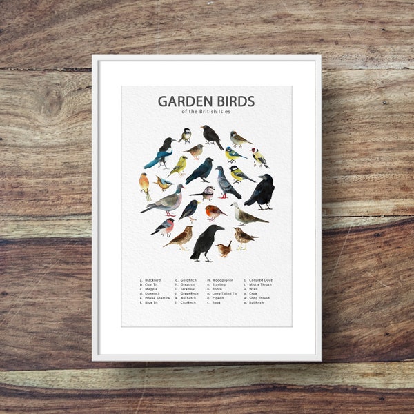 Bird Poster - Etsy