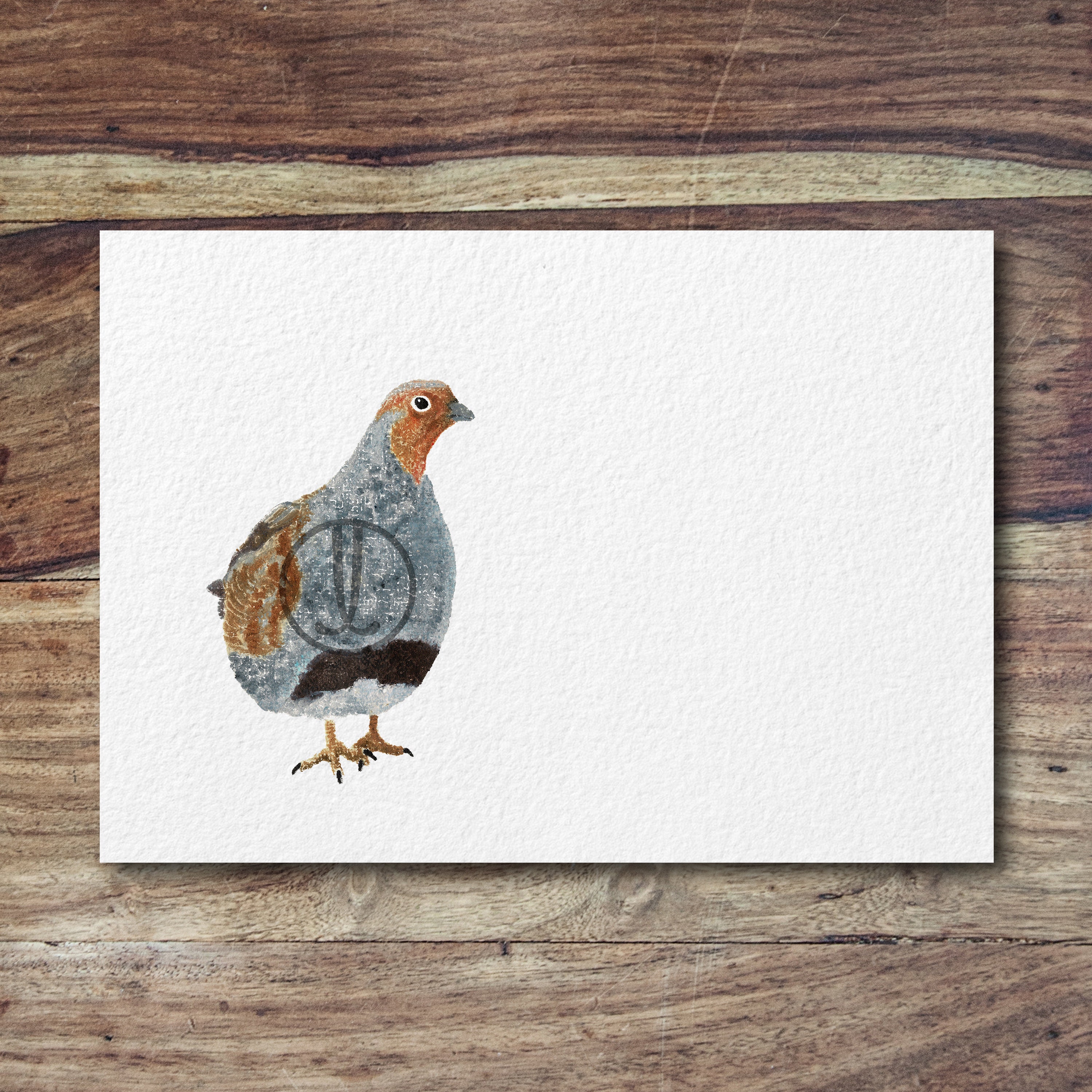 Grey Partridge game birds british birds Grey Partridge art | Etsy