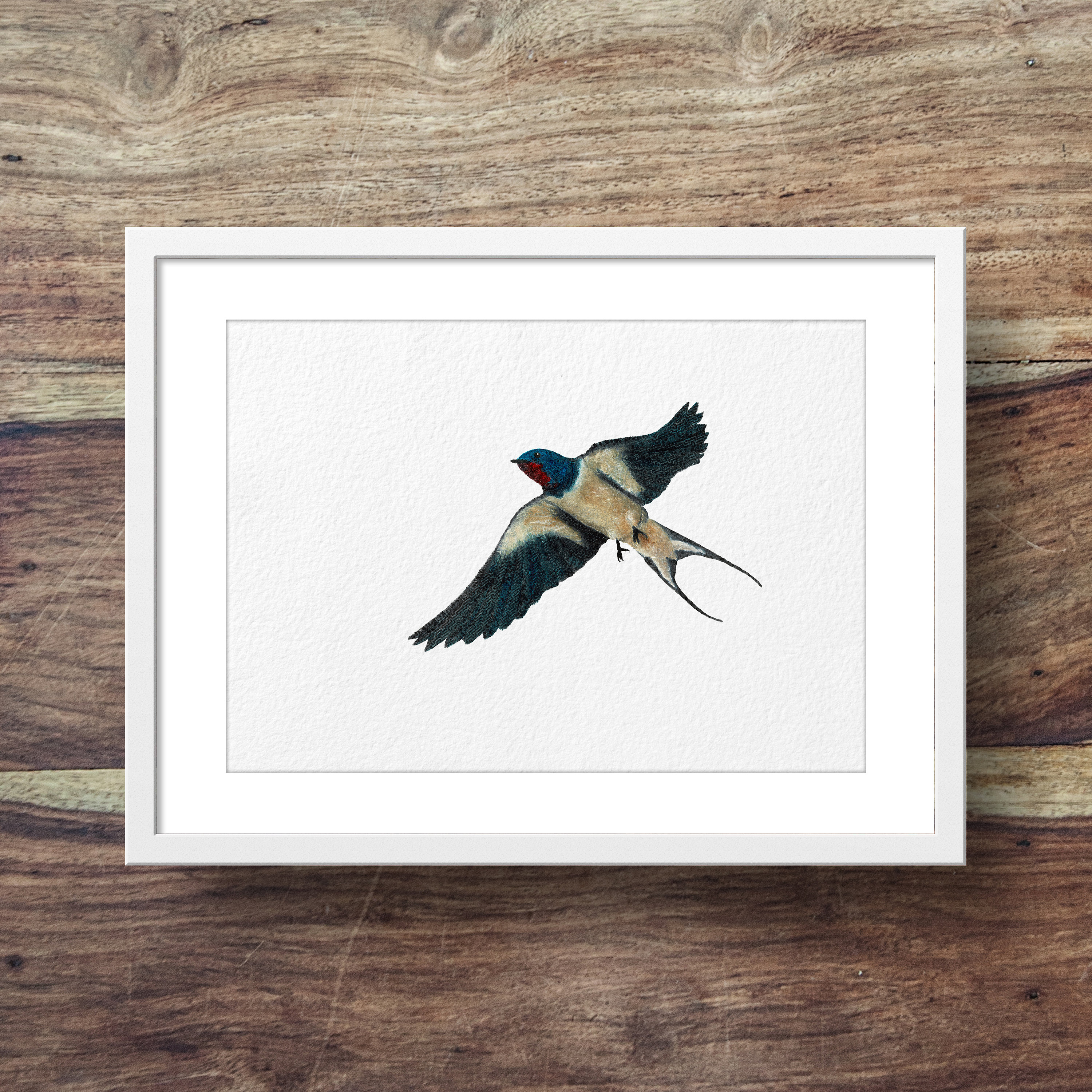 Swallow in Flight (swallow Art, Swallow Print, Swallow Painting) - Etsy UK