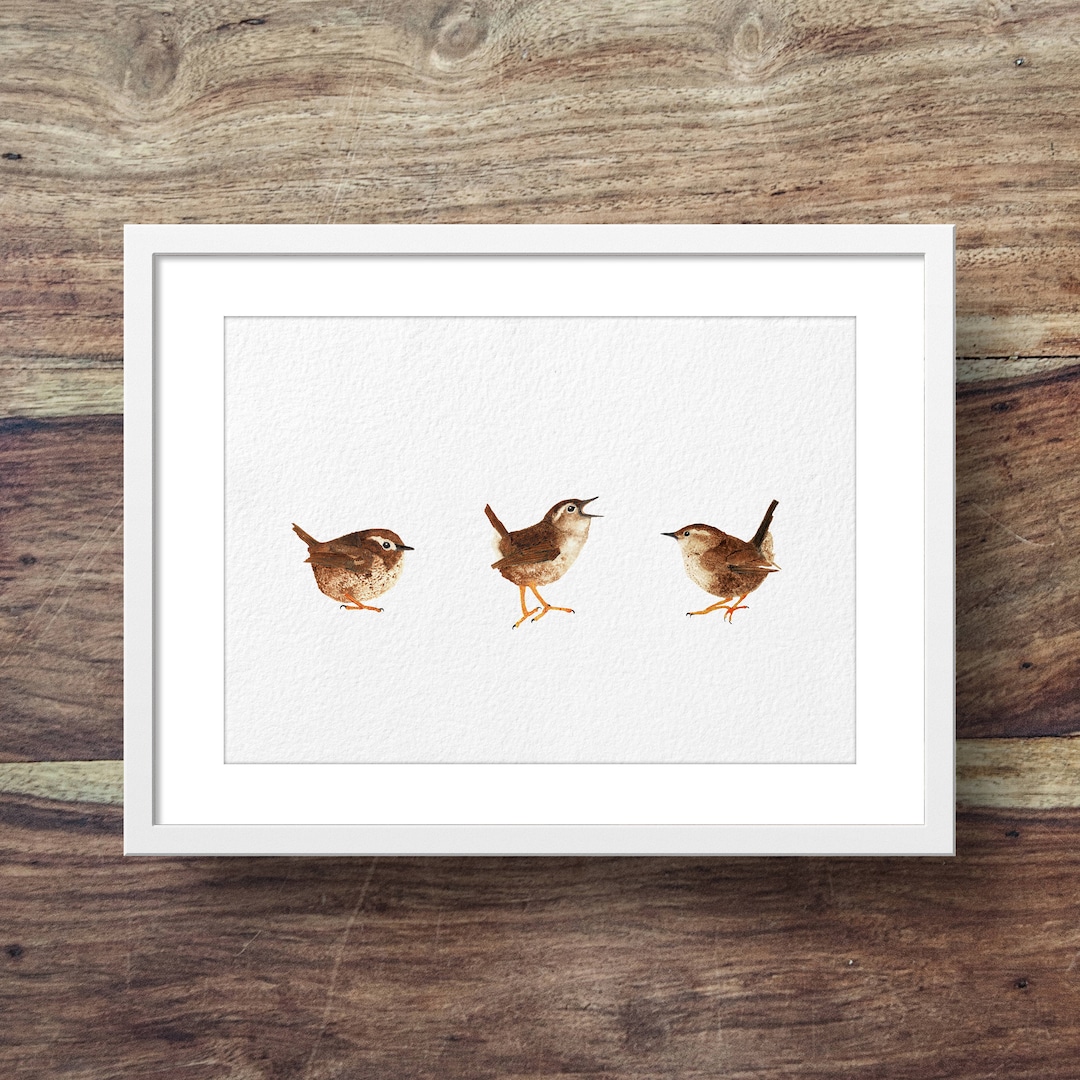 Three Little Wrens - Etsy