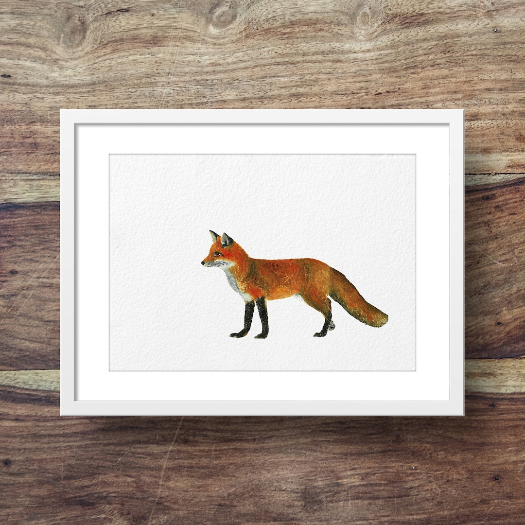 Fox (red Fox, Cute Print, Fox Print, Fox Art) - Etsy