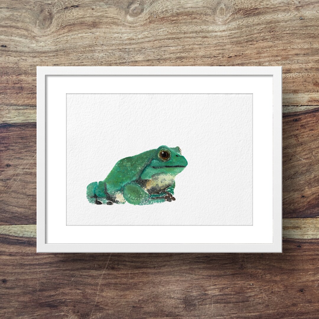 Australian Green Tree Frog - Etsy