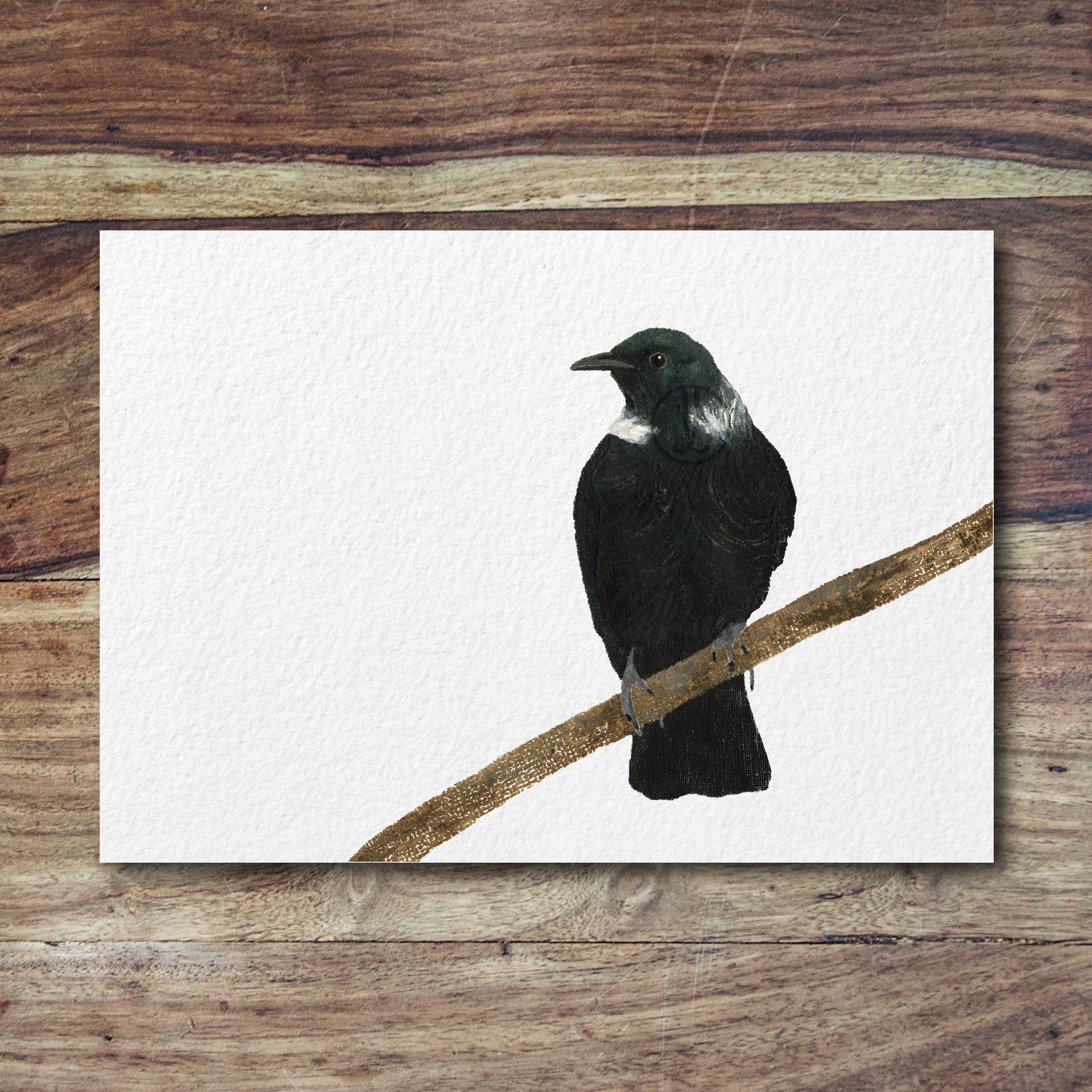 Tui new Zealand Art New Zealand Birds Tui Bird Tui Art - Etsy UK