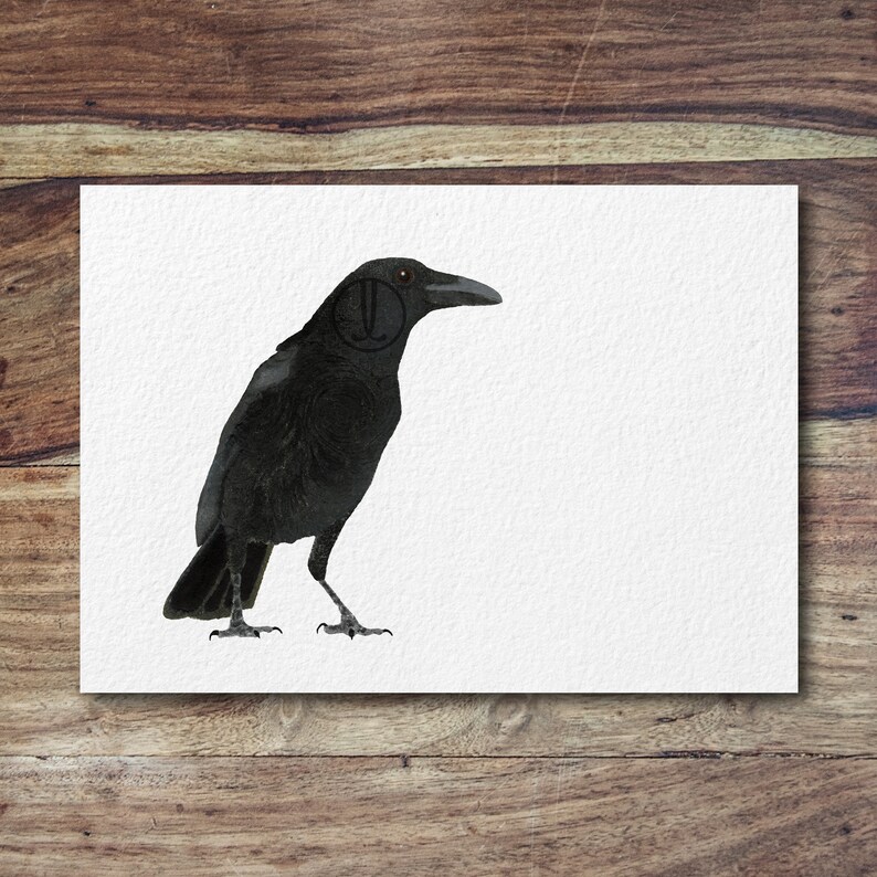 Crow (carrion Crow, British Garden Birds, Crows, Crow Art) - Etsy Canada