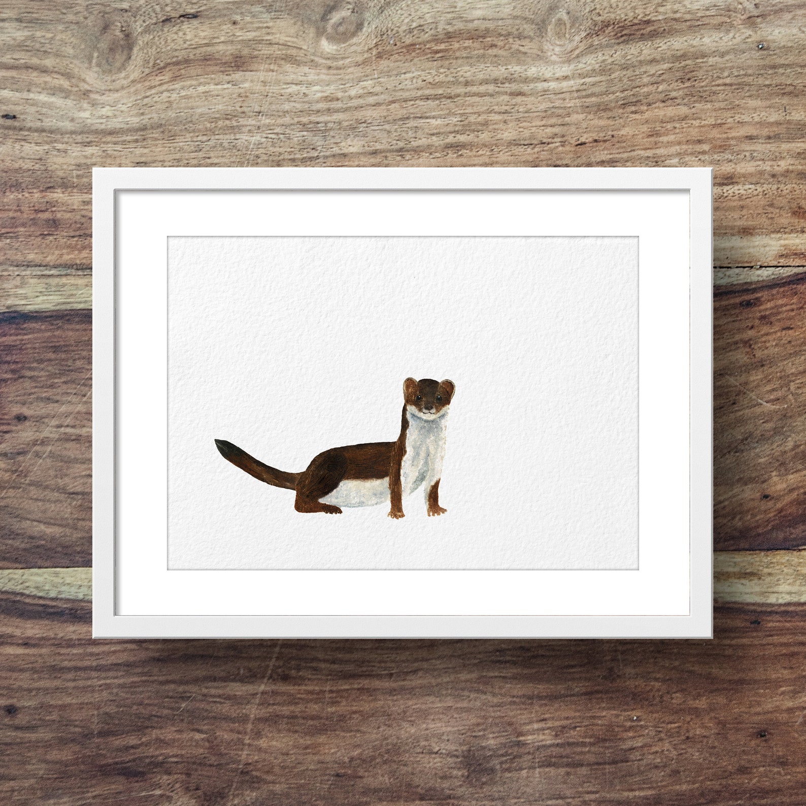 Stoat stoat Art Woodland Animals Cute Animal Art - Etsy Denmark
