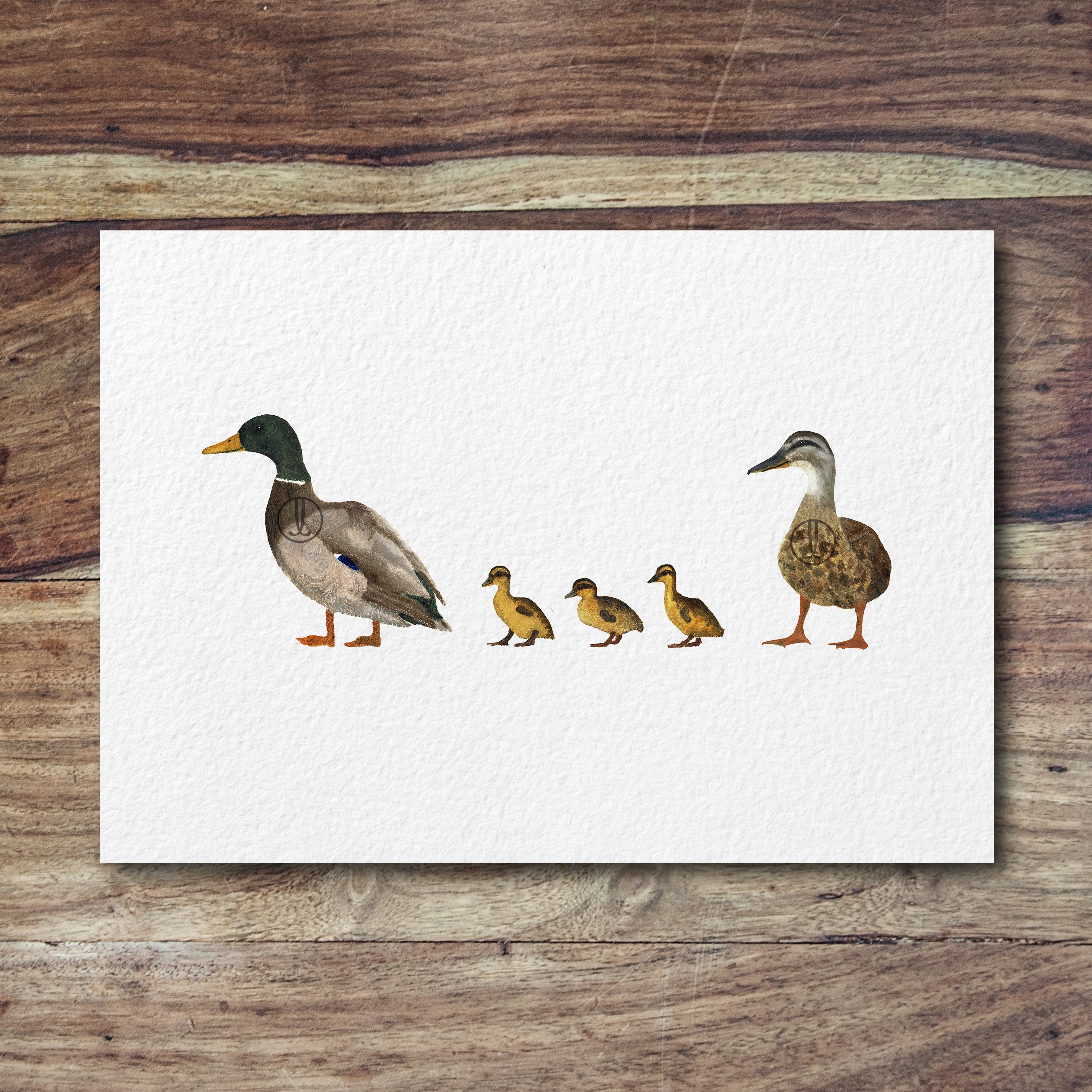 Duck Family Easter and Mothers day gift duck art family | Etsy
