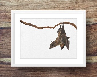Fruit Bat Art Print - Etsy