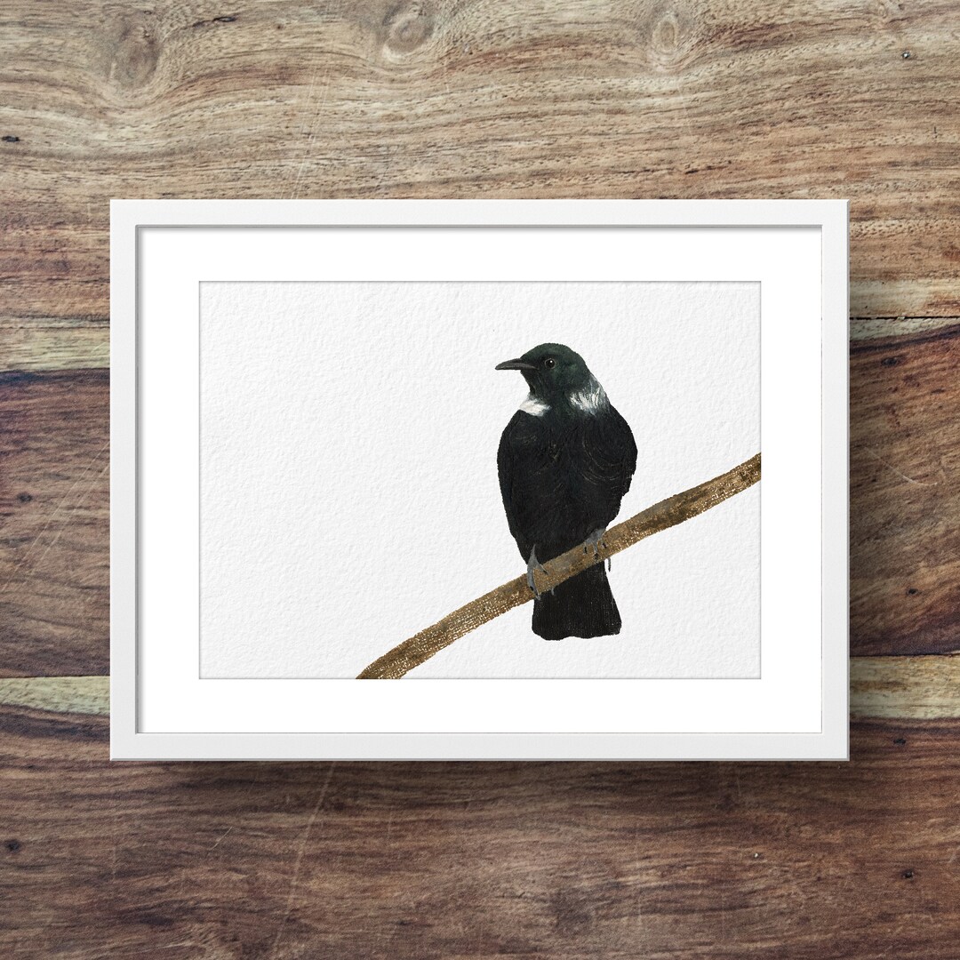 Tui (new Zealand Art, New Zealand Birds, Tui Bird, Tui Art, Cute Tui ...