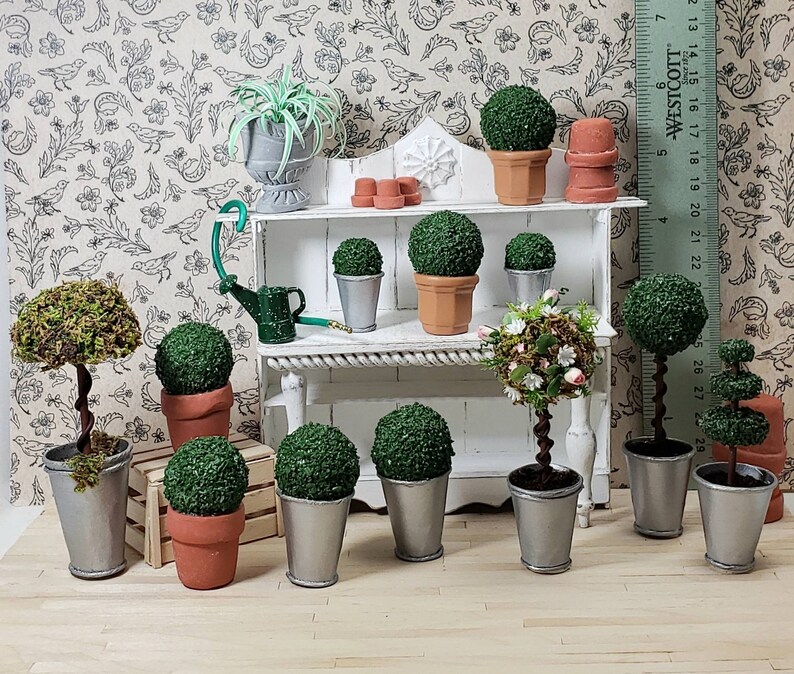 Miniature Topiary Plants - Etsy
