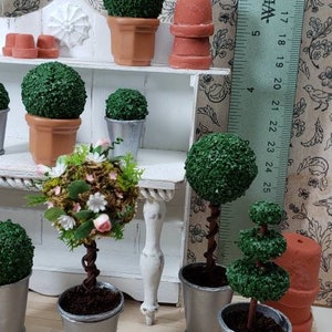 Miniature Topiary Plants - Etsy