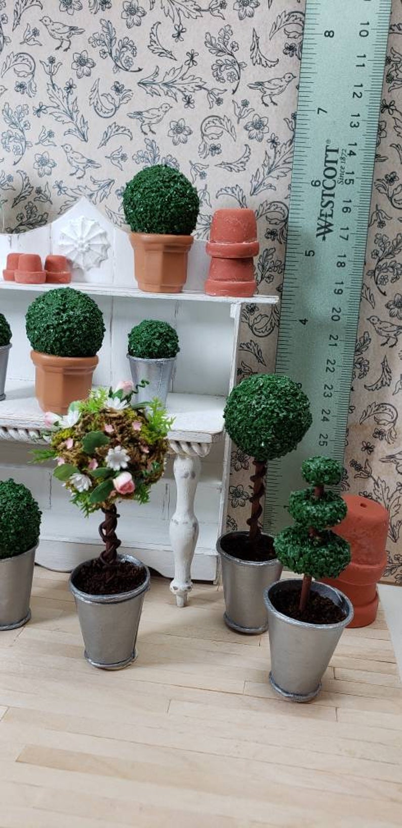 Miniature Topiary Plants - Etsy