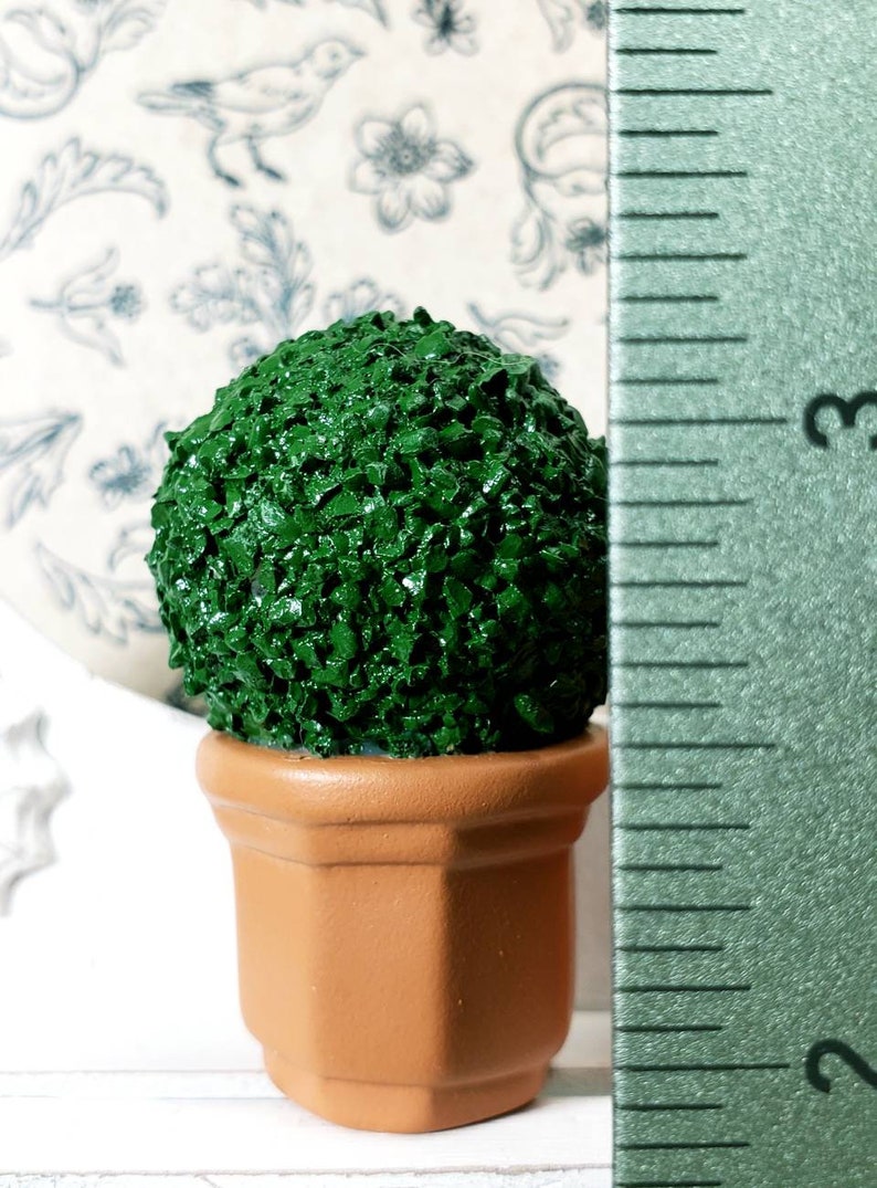 Miniature Topiary Plants - Etsy