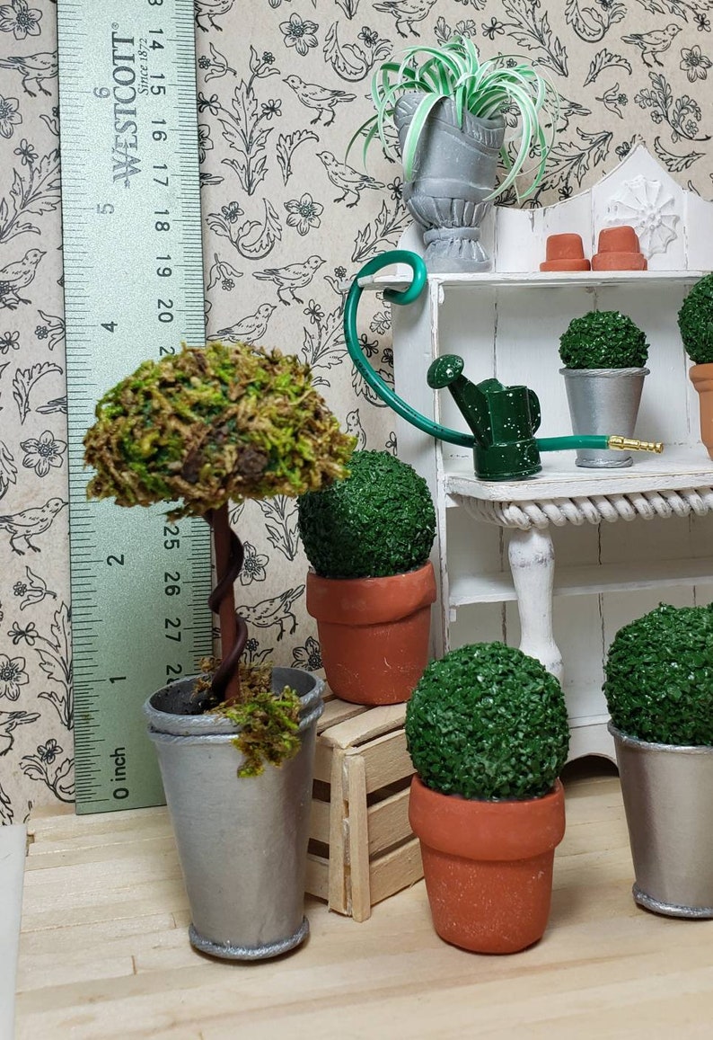 Miniature Topiary Plants - Etsy