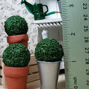 Miniature Topiary Plants - Etsy