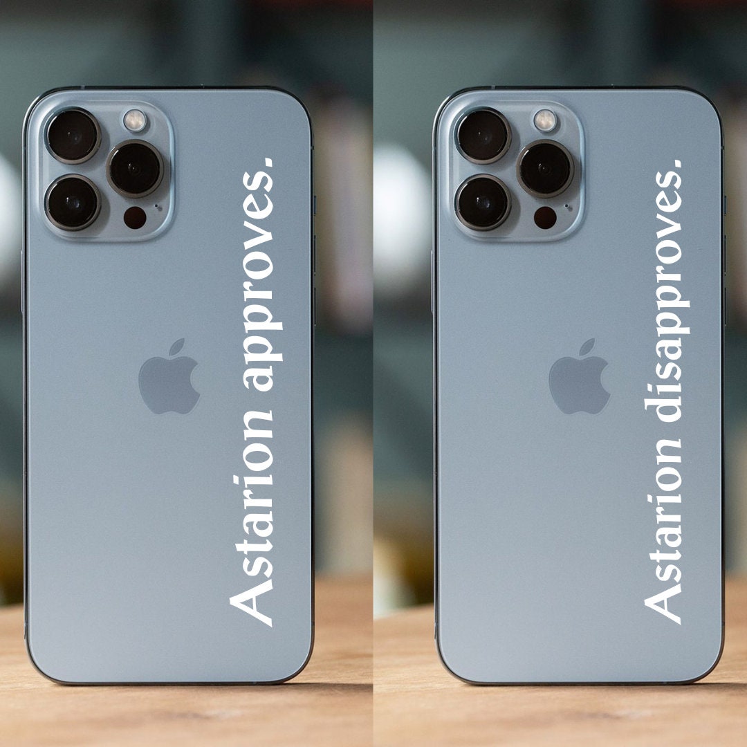 Baldur's Gate 3 Vinyl Decal, Companion Approves or Disapproves BG3 ...