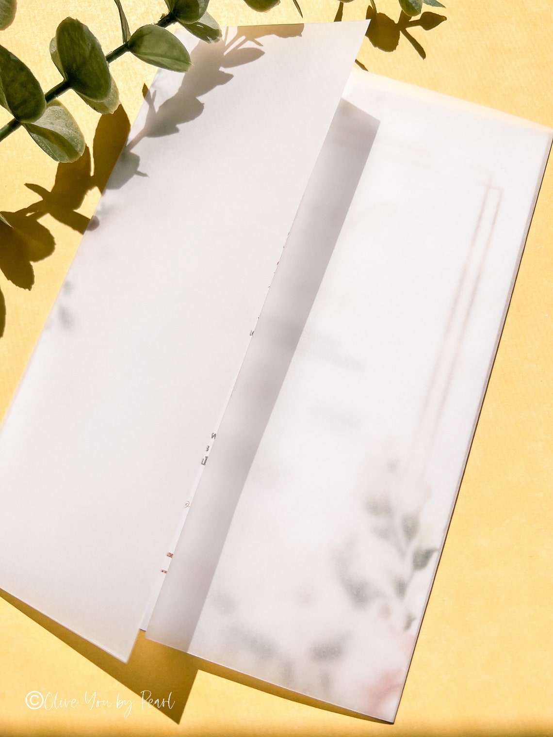 Vellum Jacket Pre-folded Vellum Wrap for 5x7 With Adhesives - Etsy